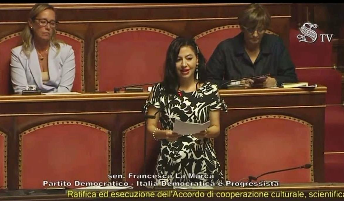 La Sen. La Marca (PD) interviene in dichiarazione di voto sulla ...